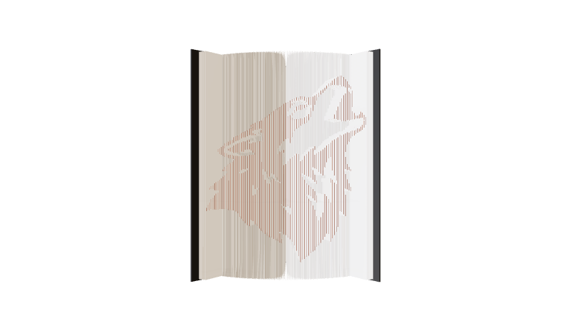 Free Book Folding Patterns | Download MMF, Cut & Fold, Shadow & More